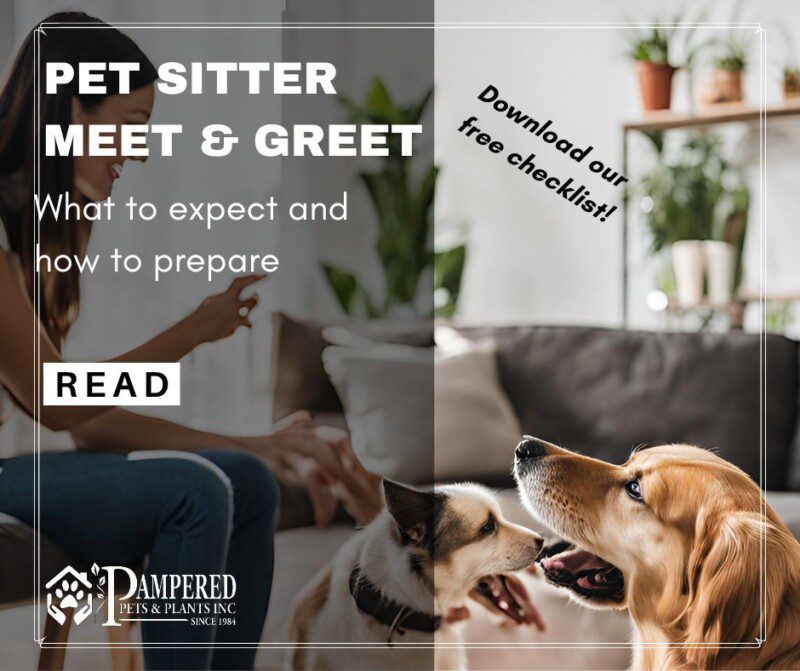 Your Pet Sitter Meet and Greet Checklist - Pampered Pets & Plants